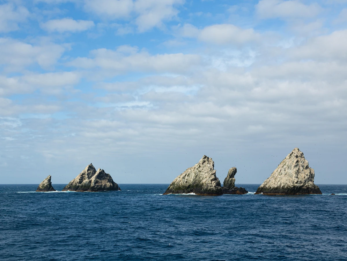 The Dragon’s Maw | Stevednd Wiki | Fandom