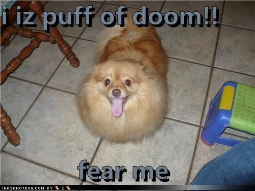 User blog:Peridot9119/Dogcopter | Steven Universe Wiki | Fandom