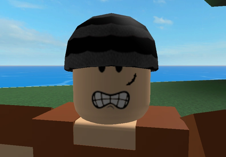 Thieves | Steve's One pIece Wiki | Fandom