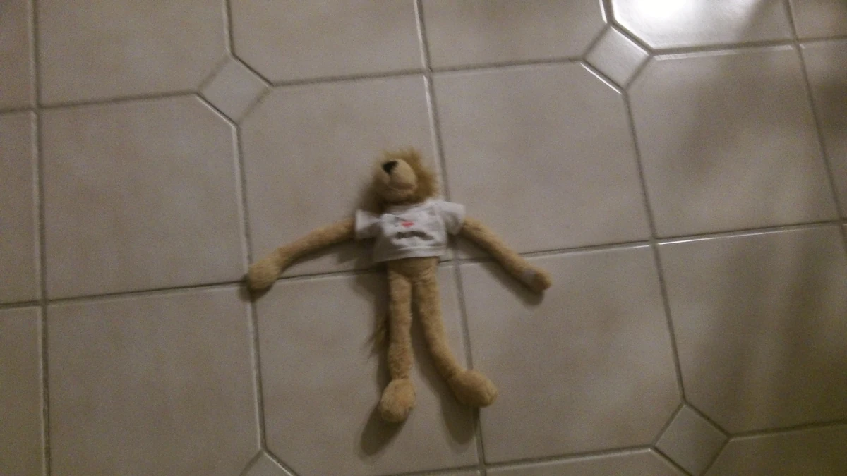 Leo The Lion | Stewie Pig Wikia | Fandom