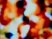 Medusan | Star Trek Expanded Universe | Fandom