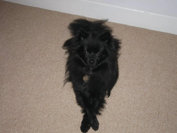 Muggle | Star Trek Expanded Universe | Fandom