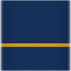 Earth Starfleet ranks (sleeve insignia) | Star Trek Expanded Universe ...