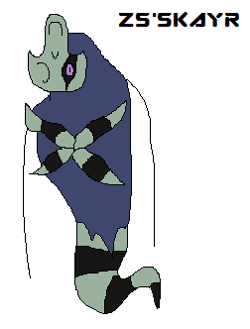 Zs'Skayr | Stick 10 Wiki | Fandom