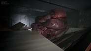 Stuart "Gibbo" Gibson | Still Wakes the Deep Wiki | Fandom