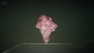 Stuart "Gibbo" Gibson | Still Wakes the Deep Wiki | Fandom