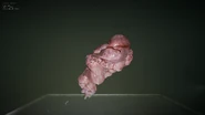 Stuart "Gibbo" Gibson | Still Wakes the Deep Wiki | Fandom