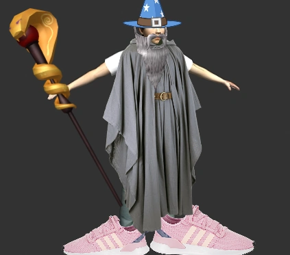 Wizard | Stinkquest Wiki | Fandom