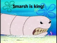 Smarsh | StinkyDragonPodcast Wiki | Fandom