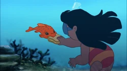 Lilo Y Stitch Pudge Lilo & Stitch Disney Lilo & Stitch Pudge Weather