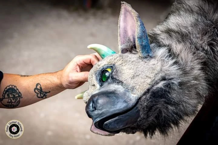 Navi | Stlrf Wiki | Fandom