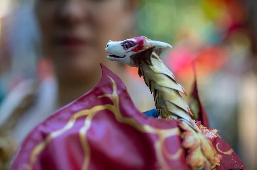 Camillia of the Roses | Stlrf Wiki | Fandom