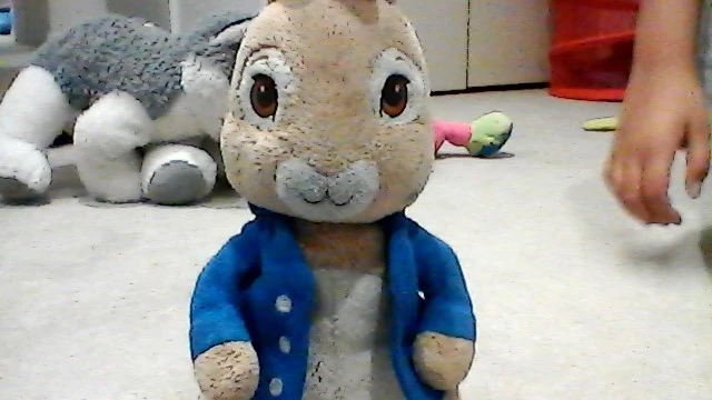 Peter | STM Wiki | Fandom