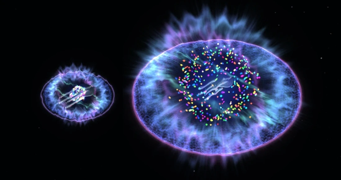 Console - Universal - Temporal Destabilization Matrix - Official Star ...