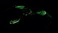 New Romulus Reman Vanity Shield - Official Star Trek Online Wiki