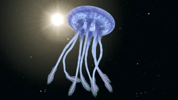 Cnidarian Defender - Official Star Trek Online Wiki