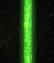 Nanite Disruptor weapons (space) - Official Star Trek Online Wiki