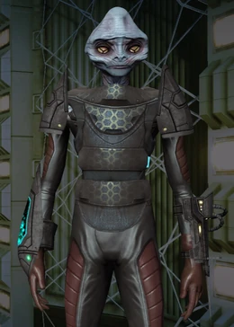 Elachi Engineering/Temporal Operative Officer Candidate - Official Star ...