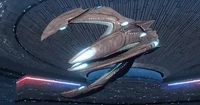Xindi-Insectoid Olaen Heavy Strike Wing Escort - Official Star Trek ...
