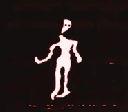 Stone Cold Wiki | Fandom