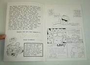 Stone Rabbit (Character) | Stone Rabbit Wiki | Fandom