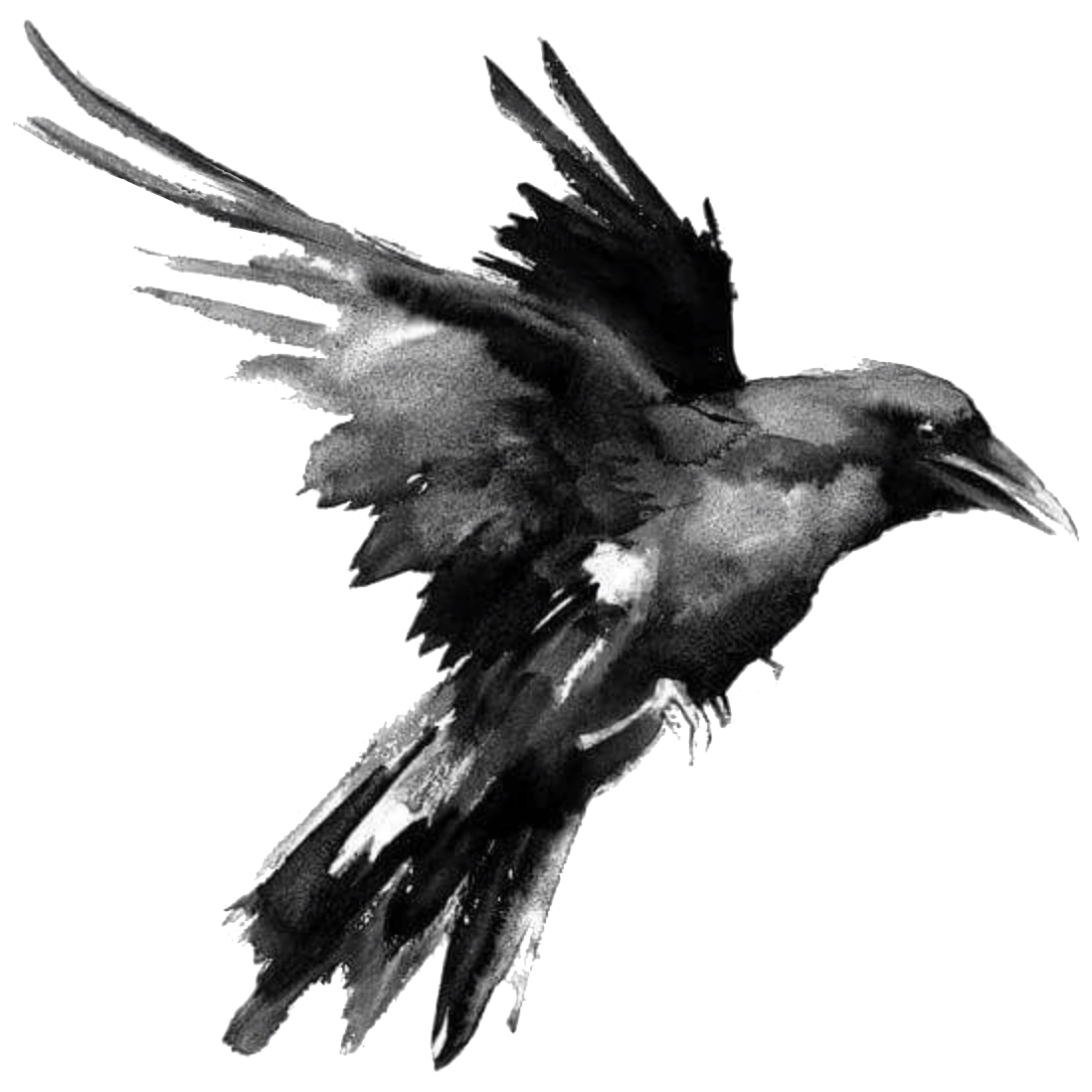 The Order of the Raven | Stoneworks MC Wiki | Fandom