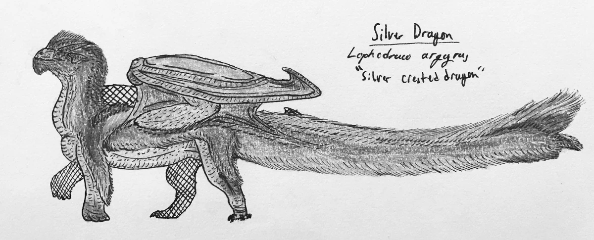 Dragon | Stoneworks MC Wiki | Fandom