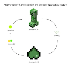 Creeper | Stoneworks MC Wiki | Fandom