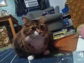 Kilivaria | Stoneworks MC Wiki | Fandom