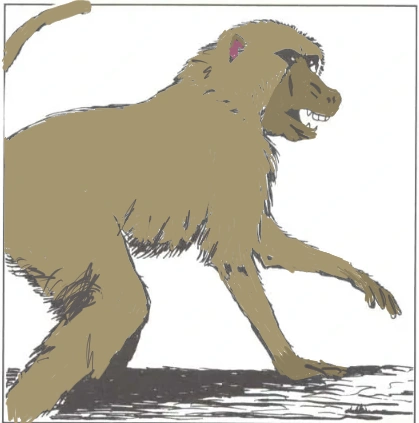 Cercopithecidae | Stoneworks MC Wiki | Fandom