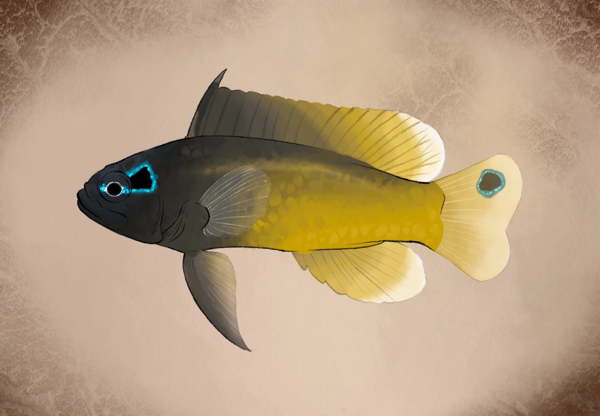 Golden Tail Gramma | Stoneworks MC Wiki | Fandom