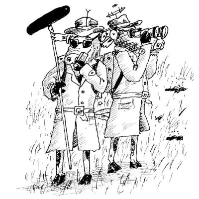 Spy Cows | Storey Treehouse Wiki | Fandom