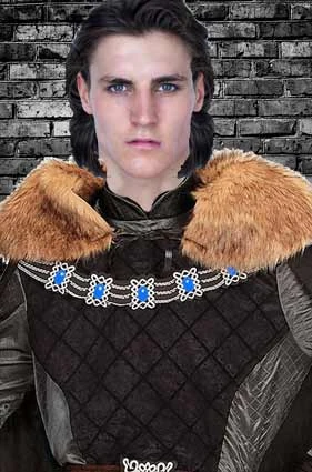 Connor Stark (Prophecy) | Stories By Jayson Wiki | Fandom