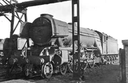 Flying Thistle | Stories From Sodor Wikia | Fandom