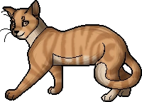 Amberpaw (SC) | Fractured Visions Wiki | Fandom