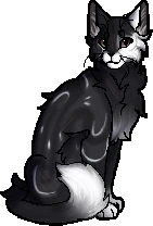 ShadowClan | Fractured Visions Wiki | Fandom