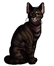 Tigerstar | Fractured Visions Wiki | Fandom