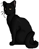 Nightpelt | Fractured Visions Wiki | Fandom