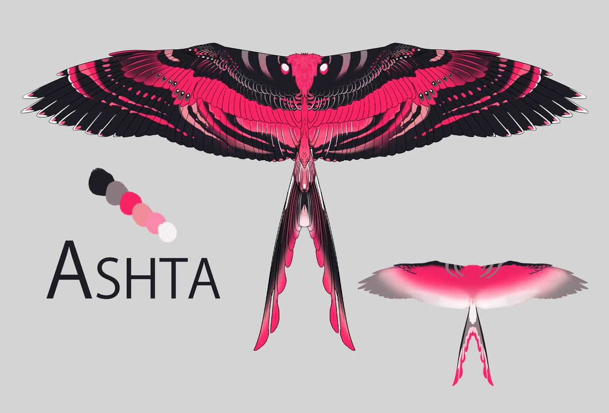 Ashta Sirocco | Stormbite Wiki | Fandom