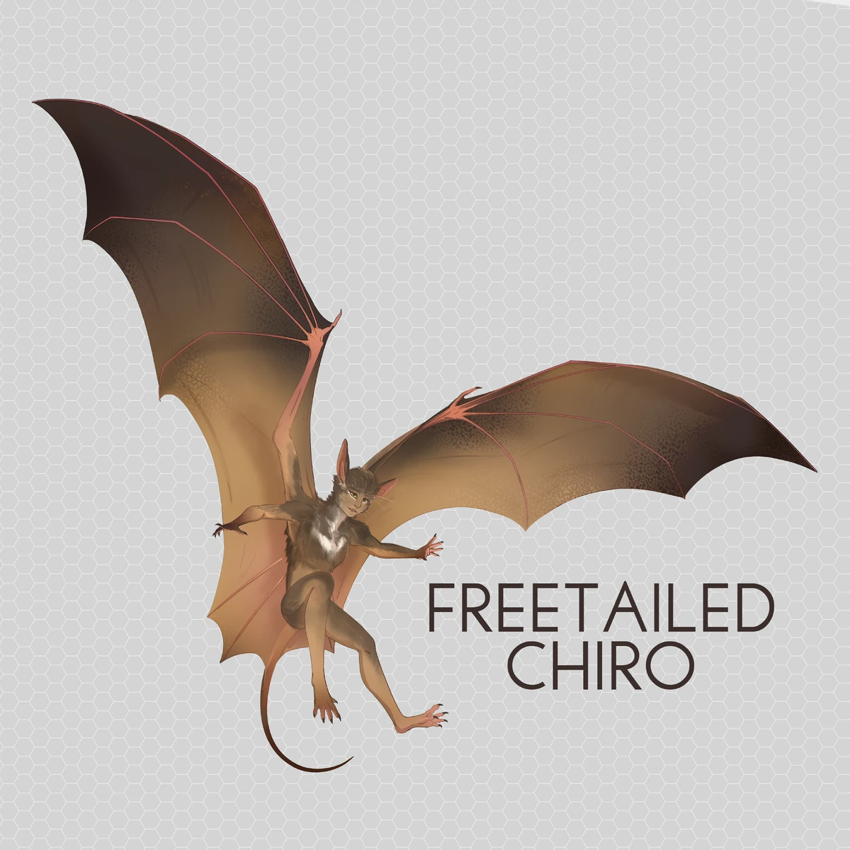 Bay Leaf | Stormbite Wiki | Fandom