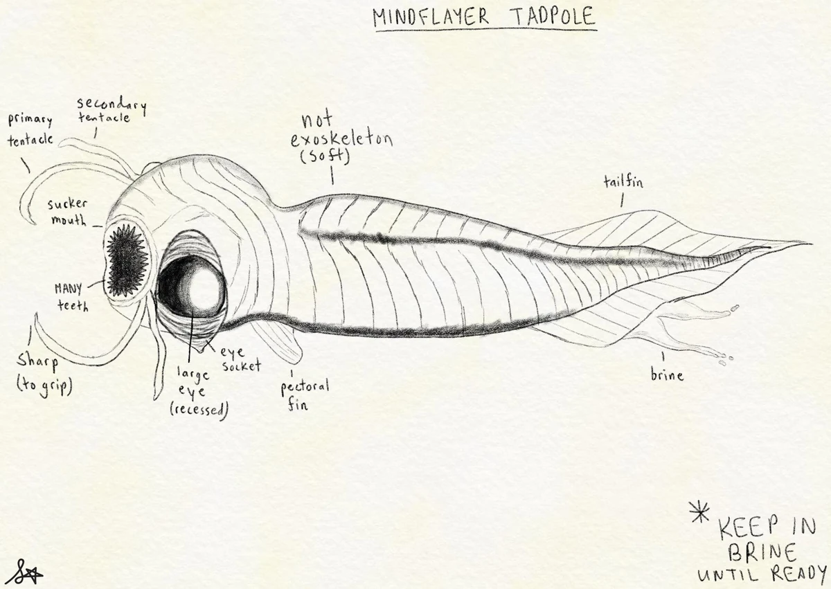 Mindflayer Experimentation Notes | Stormgate Campaign | Fandom