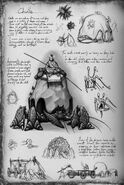 Shallan's Sketchbook | Stormlight Archive Wiki | Fandom