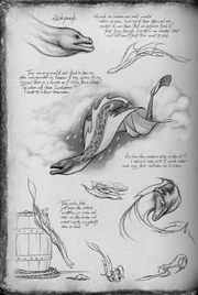 Fauna of Roshar | Stormlight Archive Wiki | Fandom