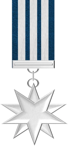 Medal of Patience | Stormwind Law Project Wiki | Fandom