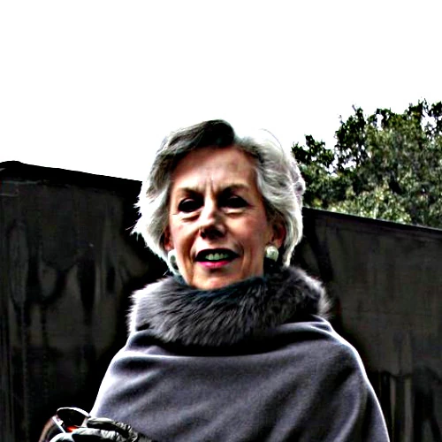 Fay Wells | Story of Flight Wiki | Fandom