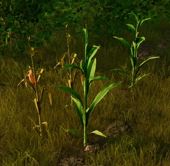 Graincob | Stranded: Alien Dawn Wiki | Fandom