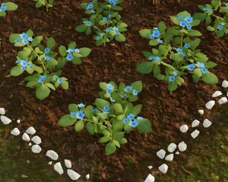 Chew root | Stranded: Alien Dawn Wiki | Fandom