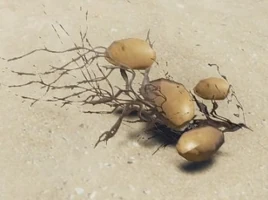 Potatoes | Stranded Deep Wiki | Fandom