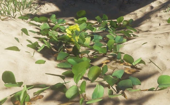 Pipi | Stranded Deep Wiki | Fandom