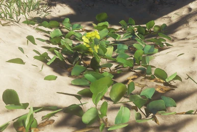 how to cook crab on stranded deep